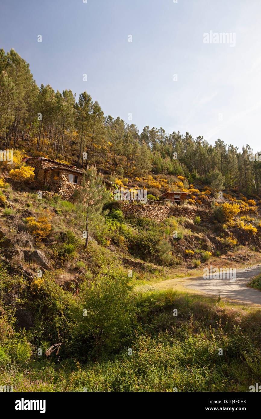 Colmeal hi-res stock photography and images - Alamy