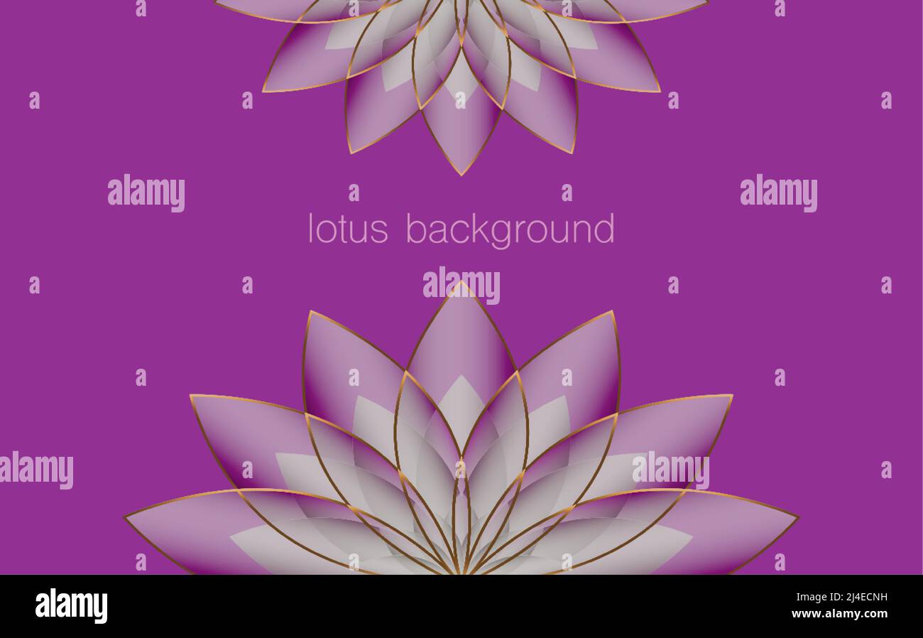 Purple Lotus Flower Wallpaper