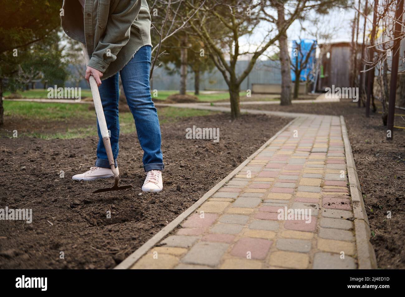 Middle aged pleasant woman gardener digs ground in the garden, loosens ...
