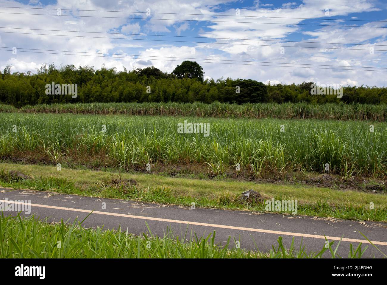 Empty bike path along the Cali - Palmira road in Colombia Stock Photo ...
