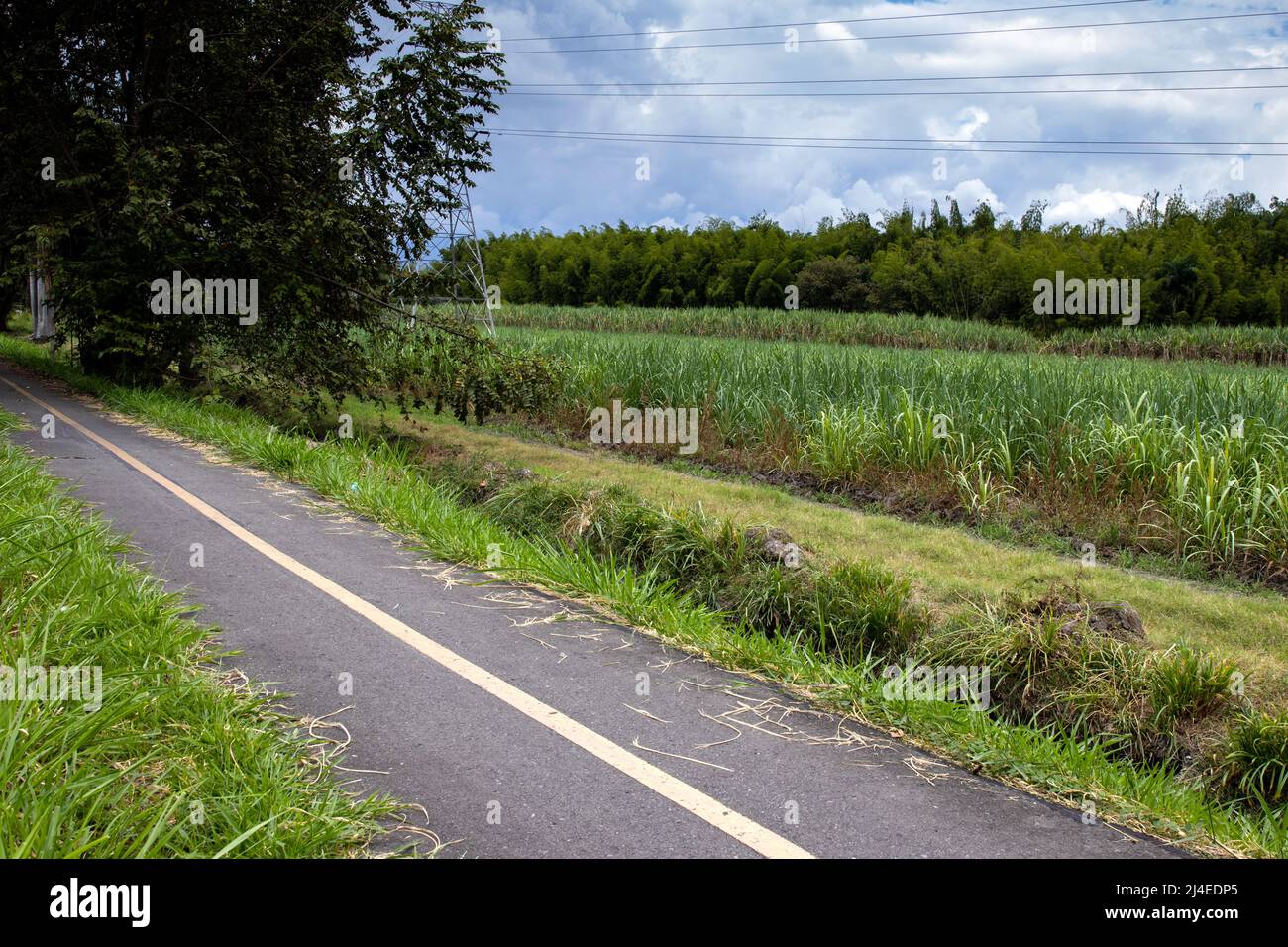 Empty bike path along the Cali - Palmira road in Colombia Stock Photo ...