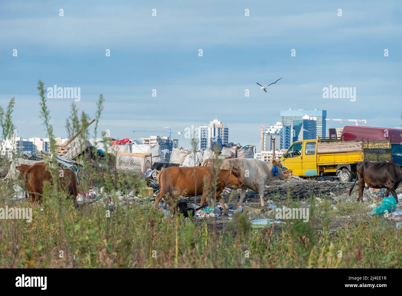 Garbage dump batumi city on hi-res stock photography and images - Alamy