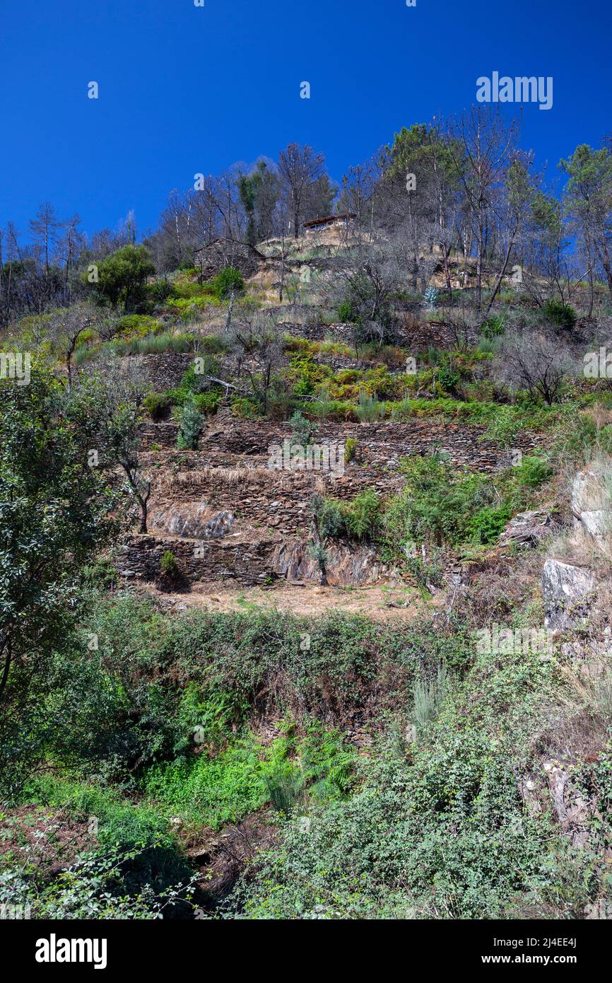 Europe, Portugal, District of Coimbra, Near Góis, 'The Goatshed' Ruins ...