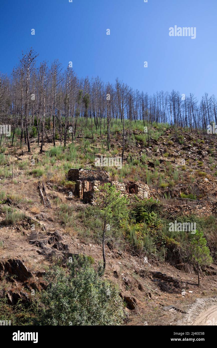 Shed ruins hi-res stock photography and images - Alamy