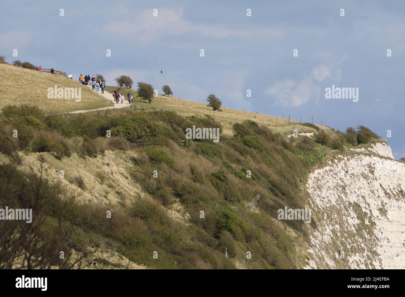 Walking the footpath along the top of the white cliffs of Dover, in ...