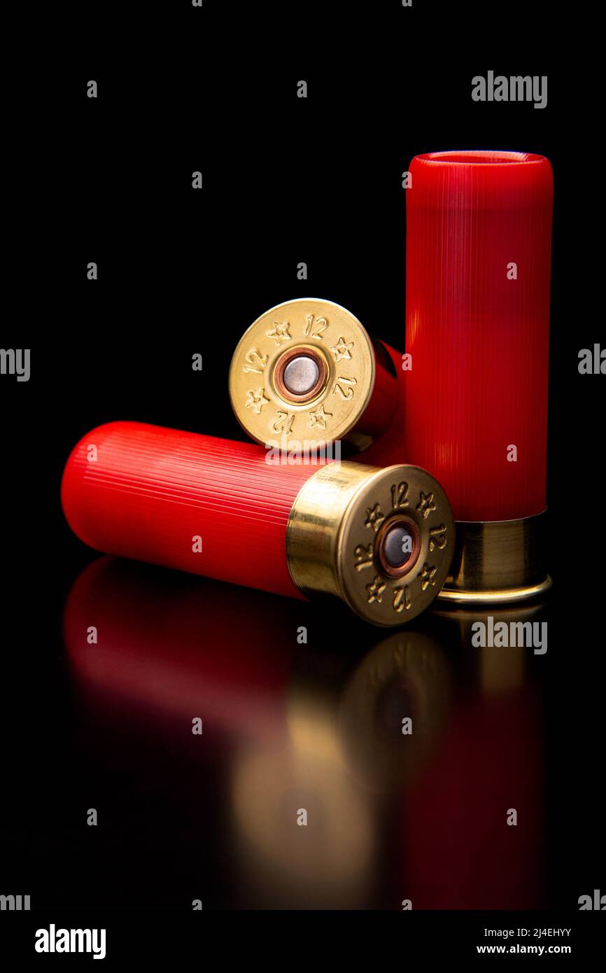 Shotgun Shell Wallpaper