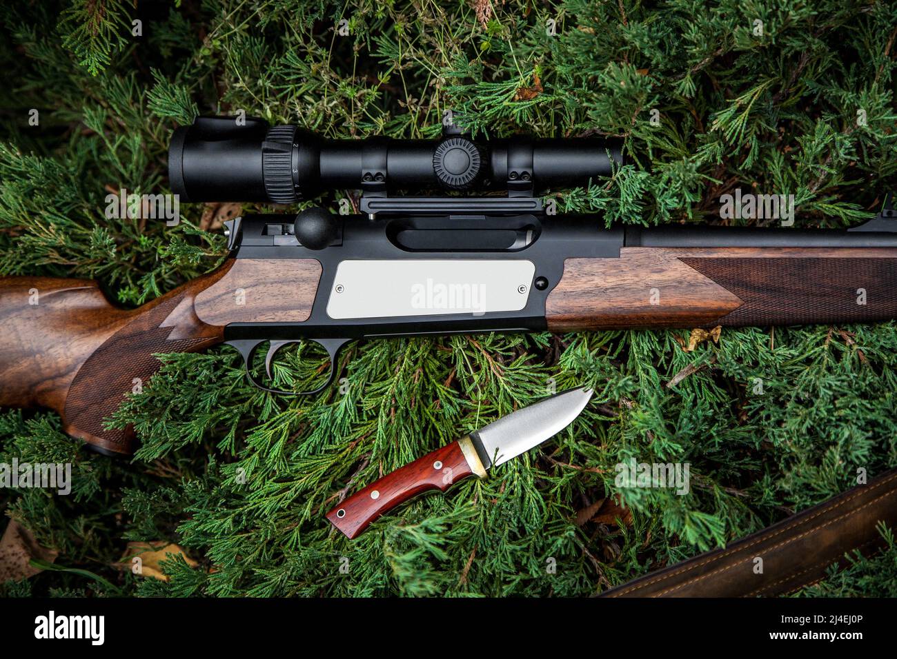 Close-up of a luxury hunting rifle with an optical sight. Bolted ...