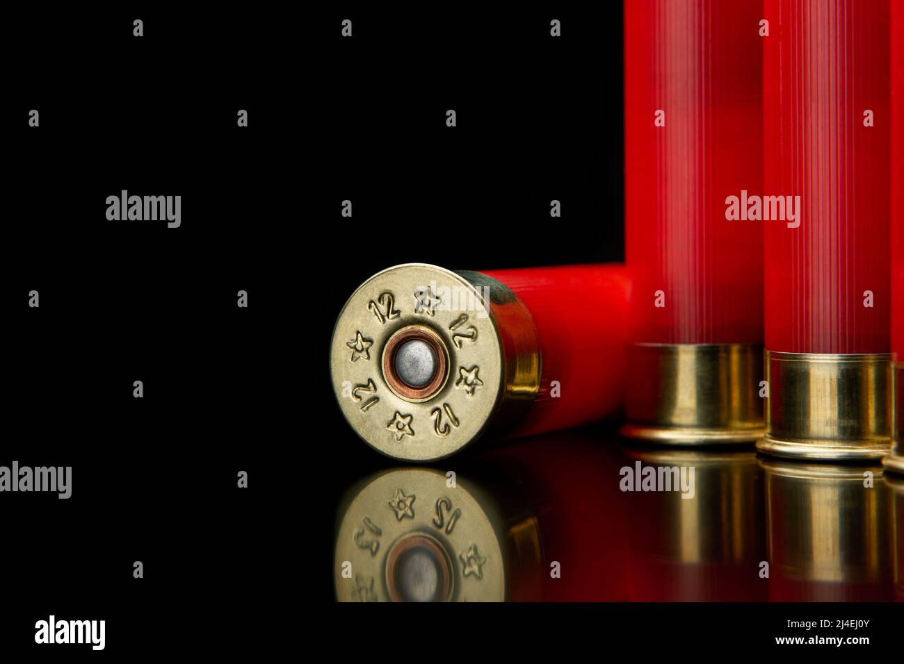 Shotgun shells on a black reflective surface. Ammunition for 12 gauge ...