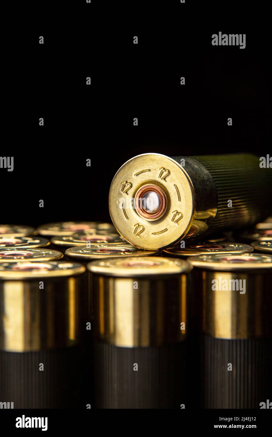 Shotgun shells on a black. Ammunition for 12 gauge smoothbore weapons ...