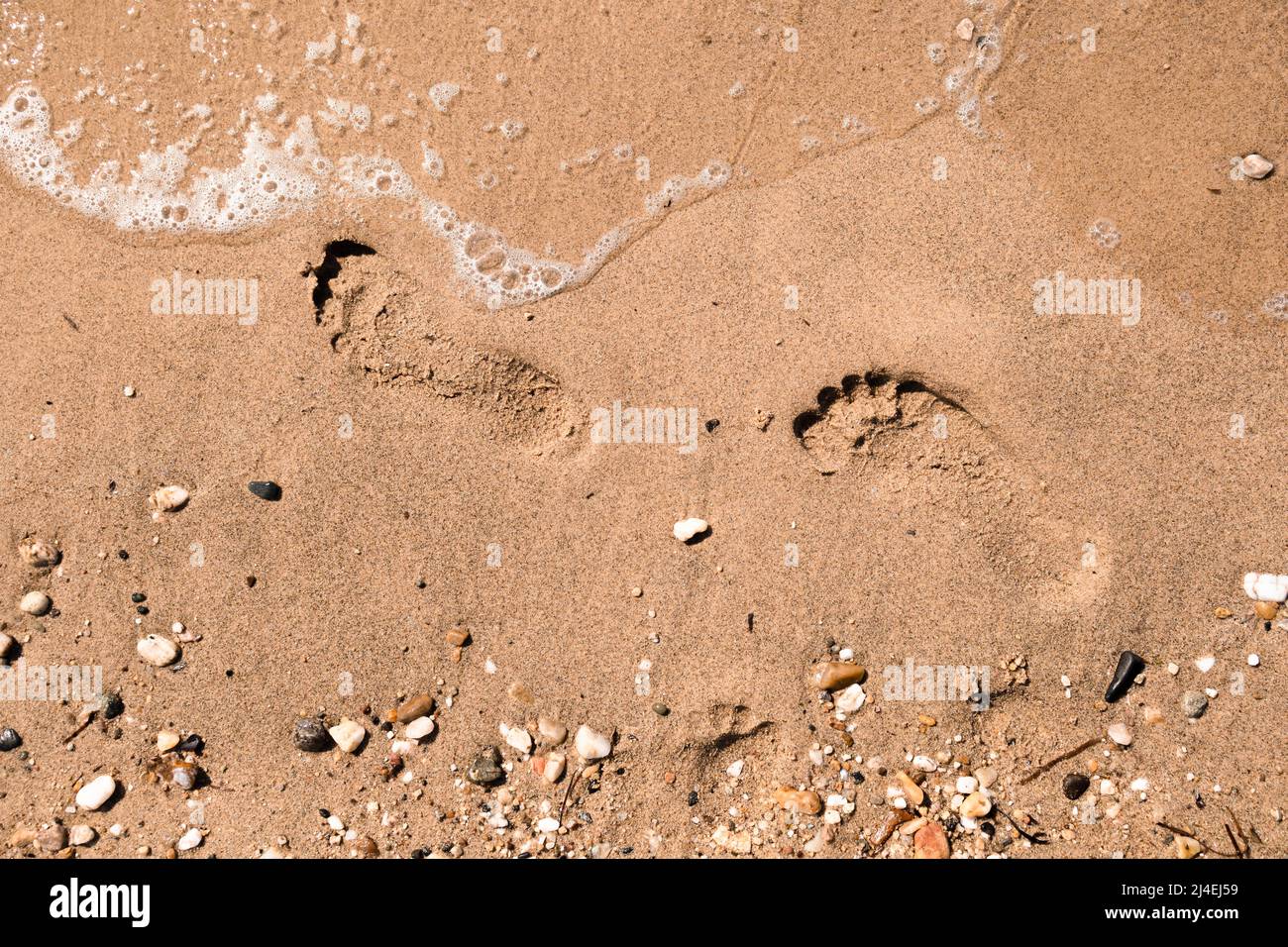 Top view of a sea sand with footprint in it. Background, texture ...