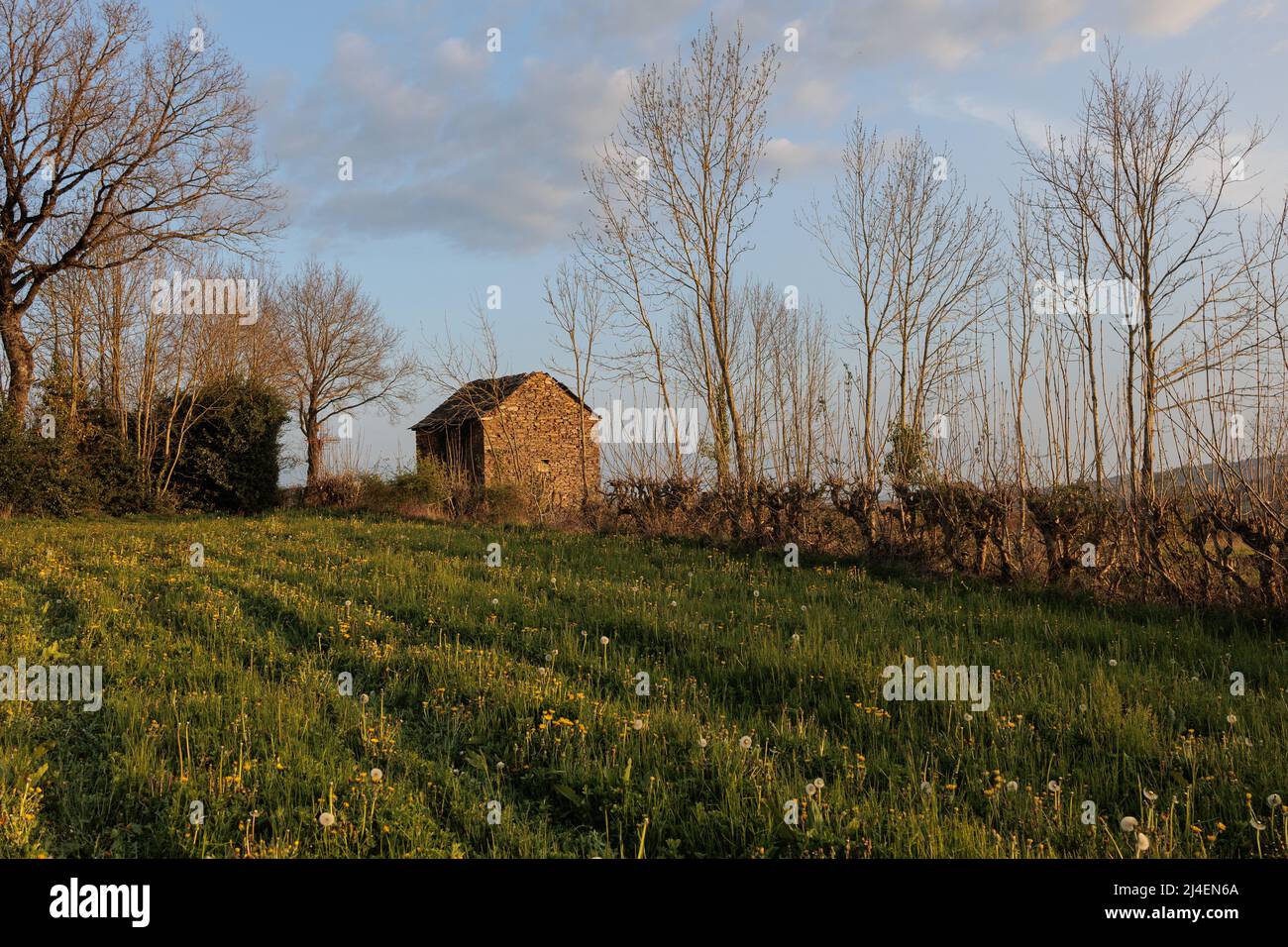 Country barn in France field and trees Stock Photo - Alamy