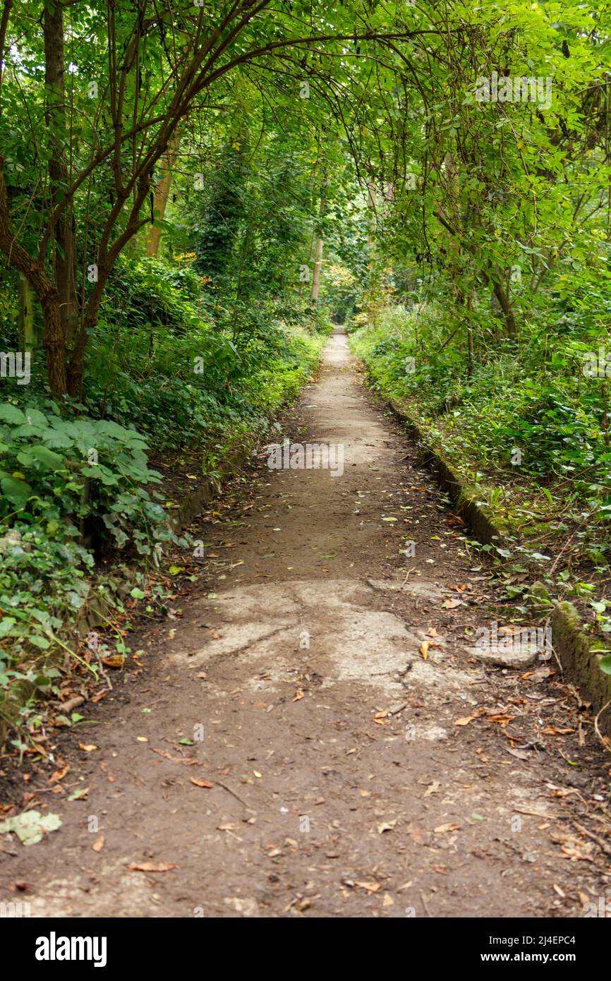 Lined with wood hi-res stock photography and images - Alamy