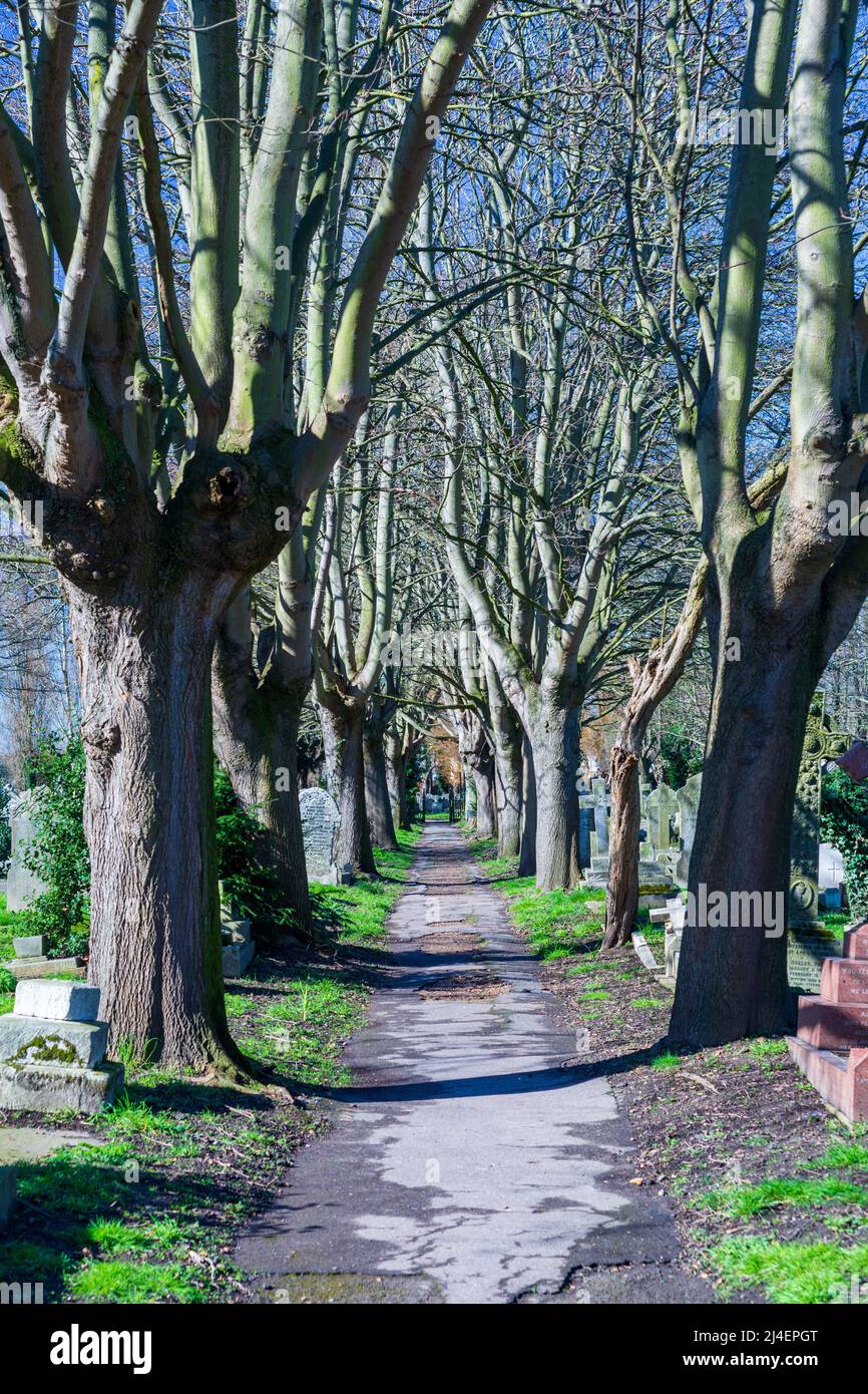 Path to the cemetery hi-res stock photography and images - Alamy