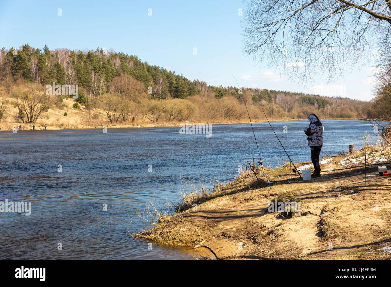 A fisherman fishing with a rod on the shore of river Neman. Grodno ...