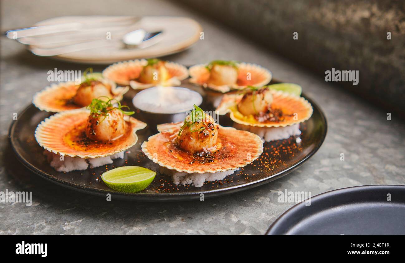 Scallops with flamed shells on a black plate. Luxury restaurant food ...