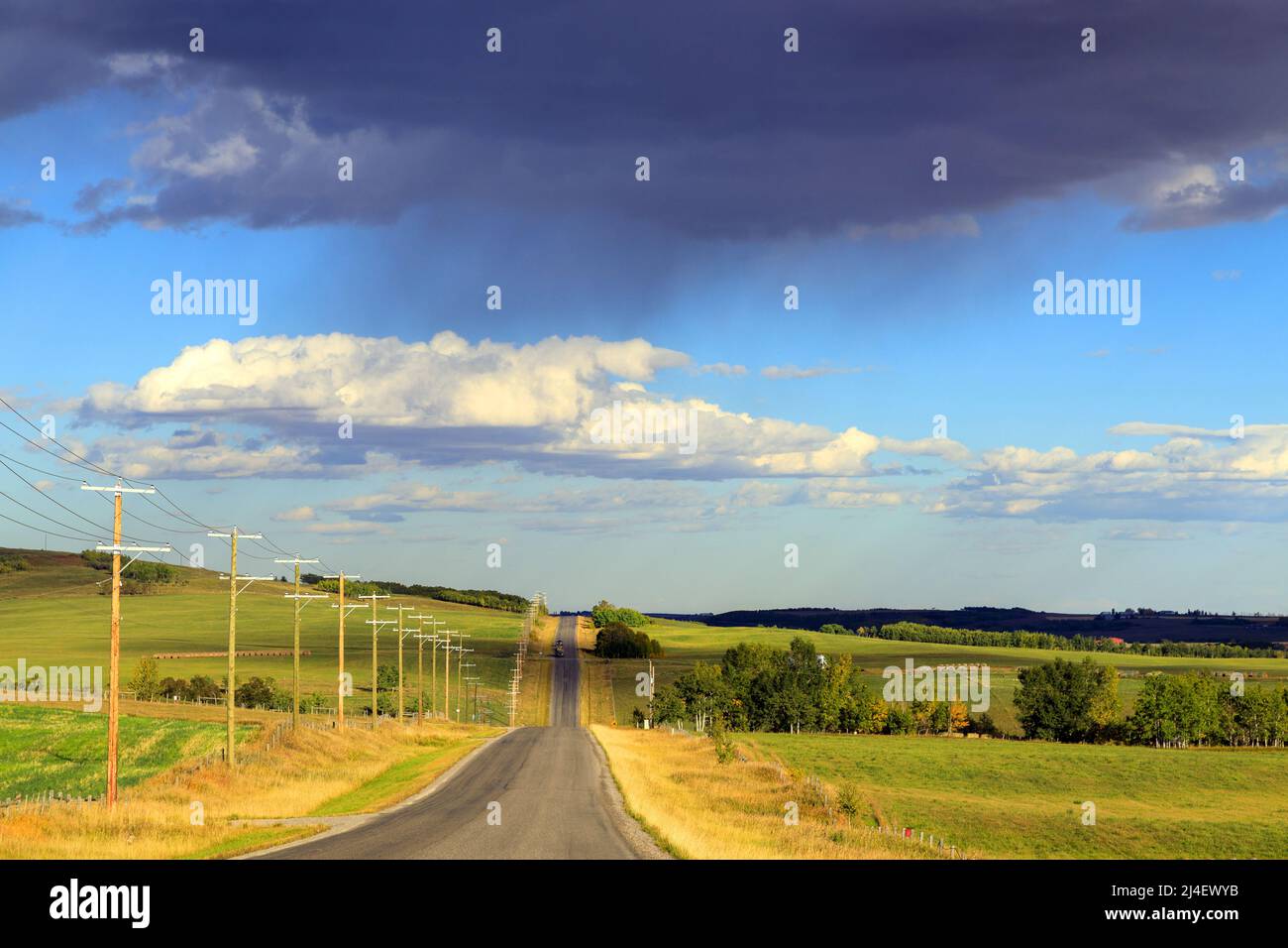 A country road with rows of wood utility poles in Alberta, Canada. A ...