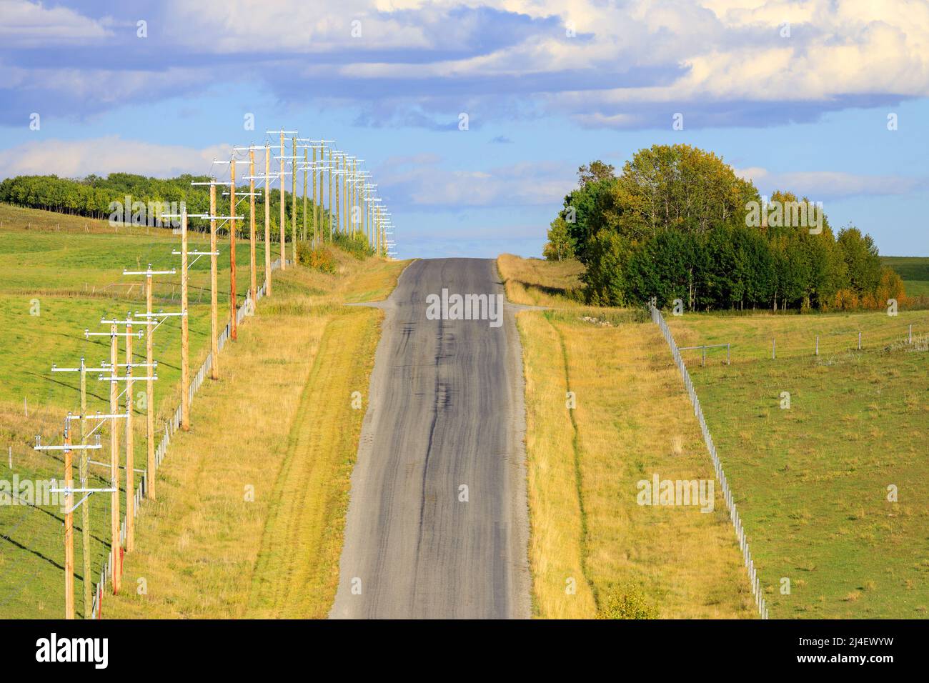 A country road with rows of wood utility poles in Alberta, Canada. A ...