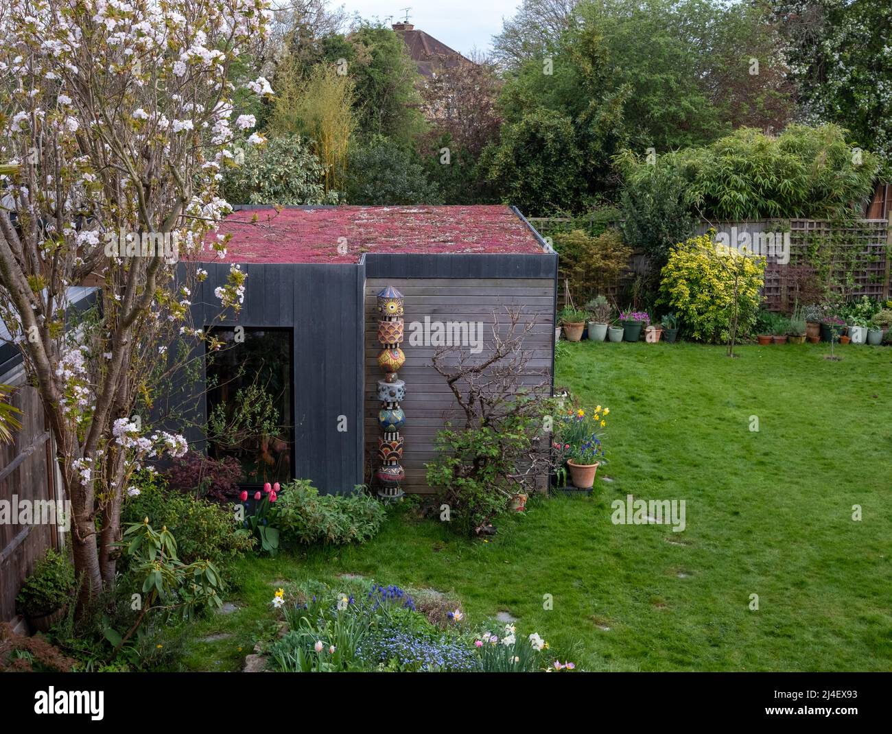 Eco garden studio office room with cedar wood cladding and living sedum ...