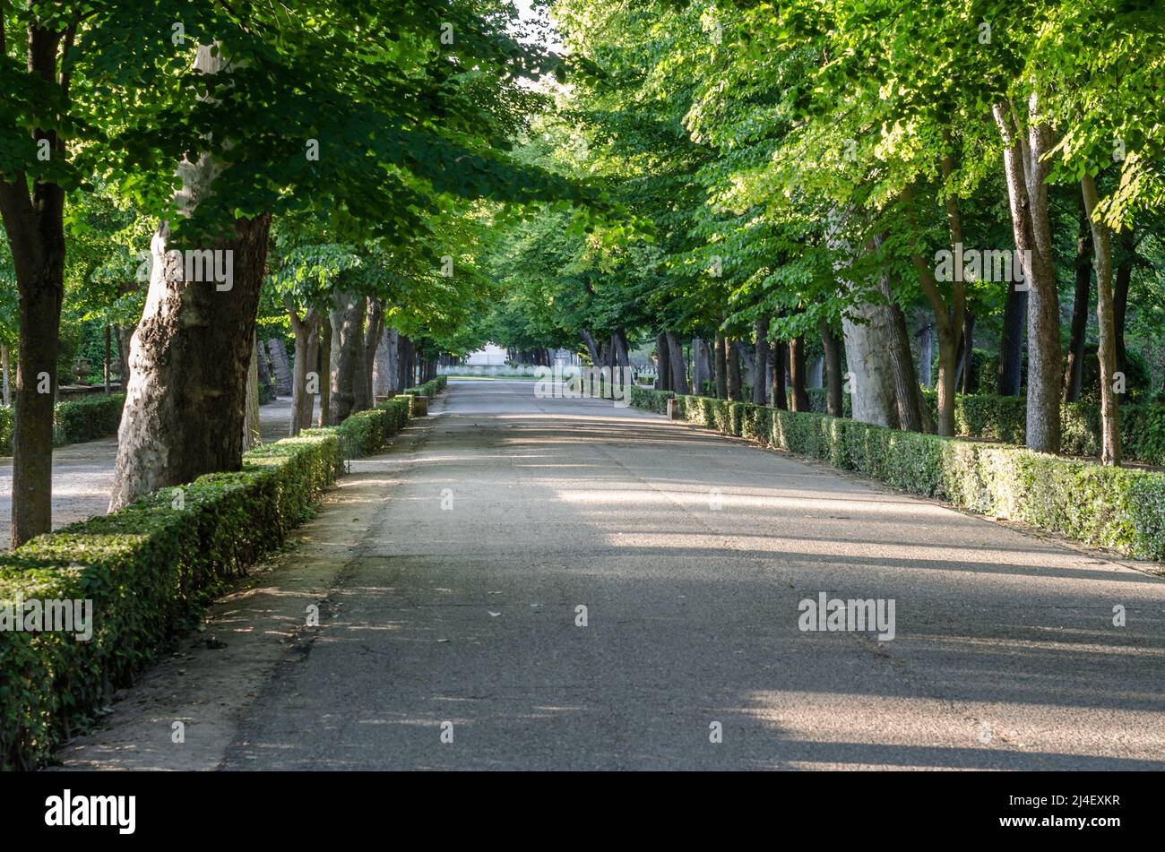 Natural background, pathway in a park in springtime Stock Photo - Alamy