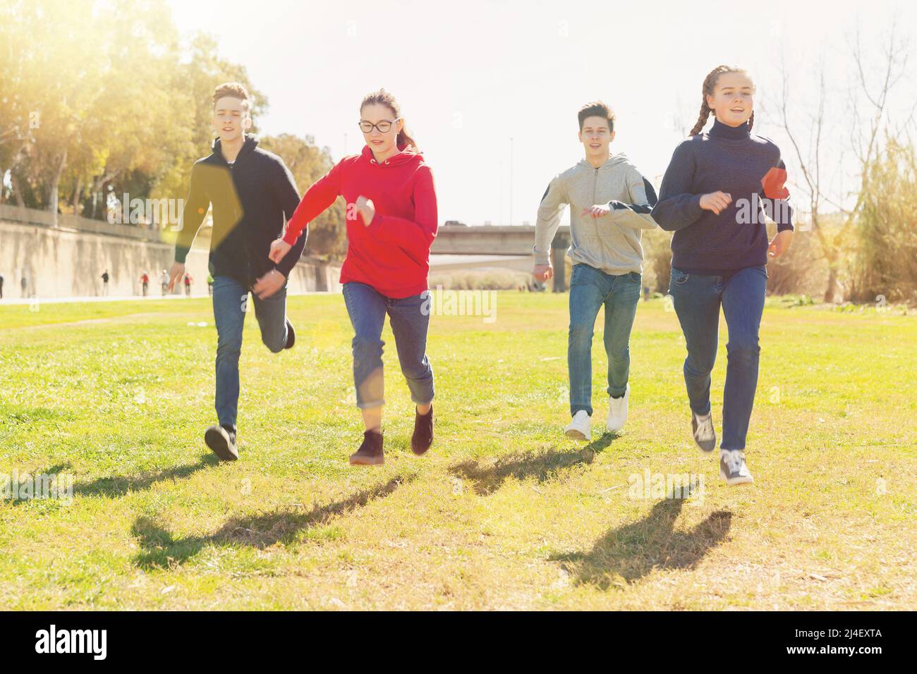 Socializing gathering, park hi-res stock photography and images - Alamy