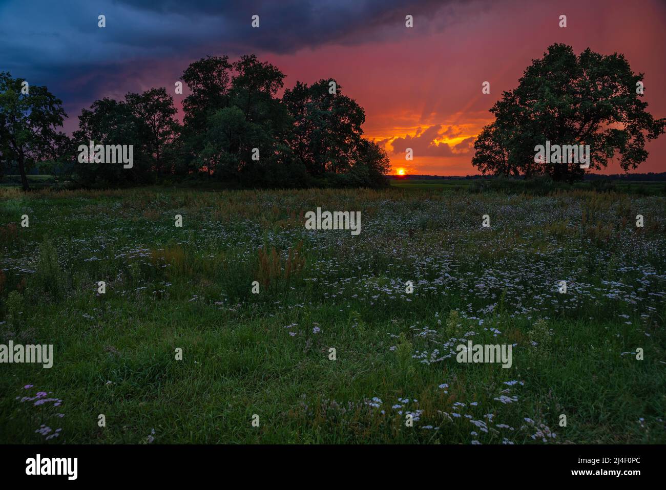Sun rays clouds country side hi-res stock photography and images - Alamy
