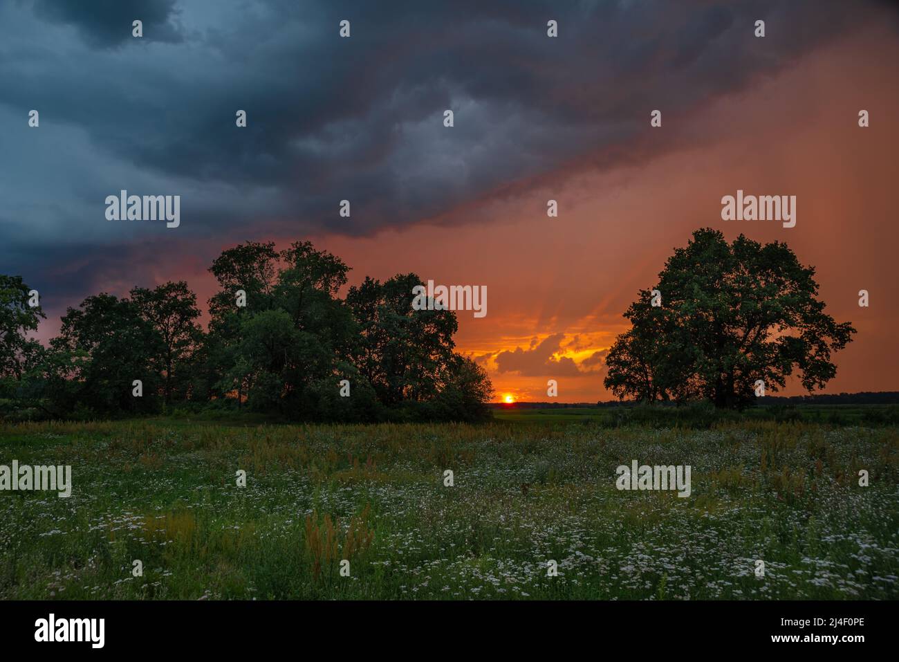 Sunset in the village hi-res stock photography and images - Alamy