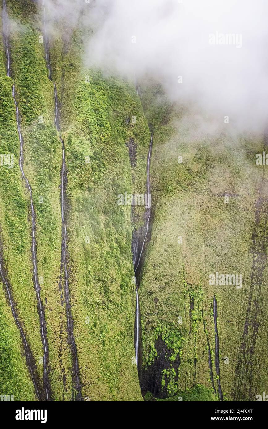 Hawaiian Misty Waterfalls stream down a volcanic jungle Stock Photo - Alamy