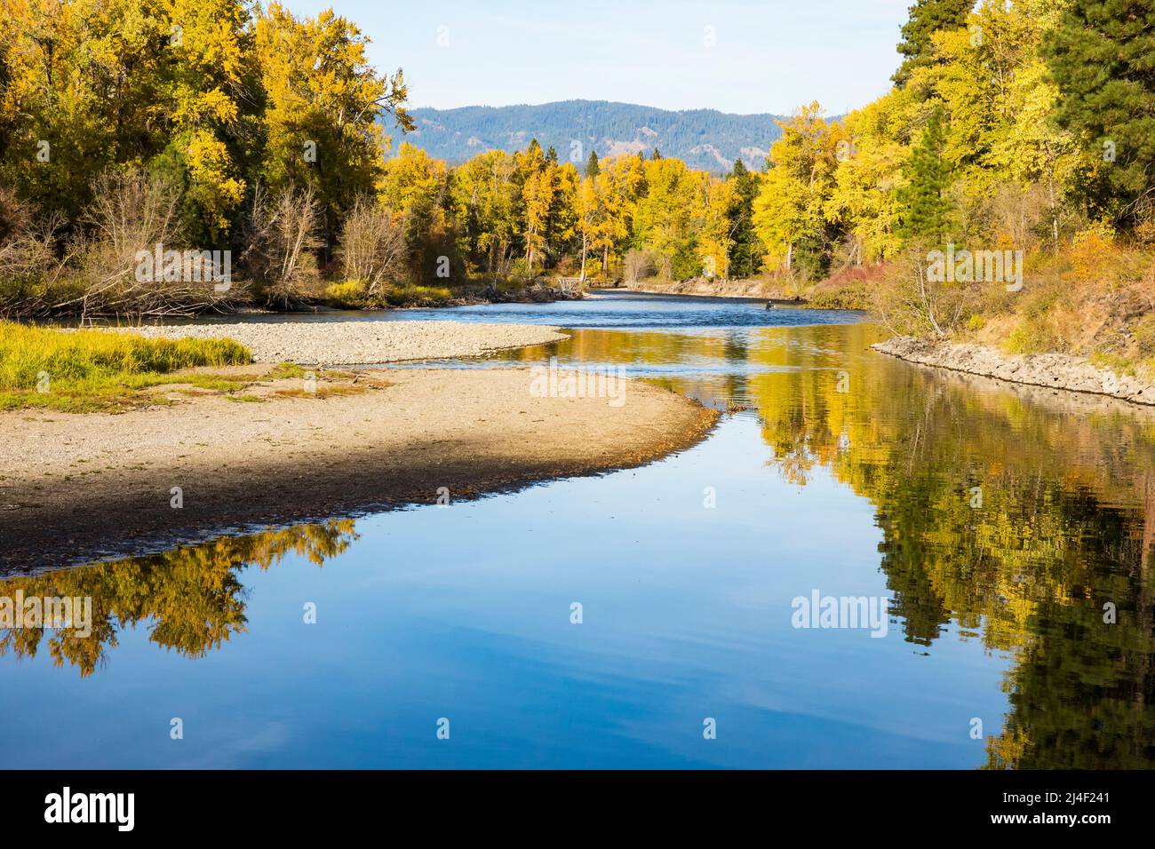 A man wades in the water of the Yakima River in the eastern Cascade ...