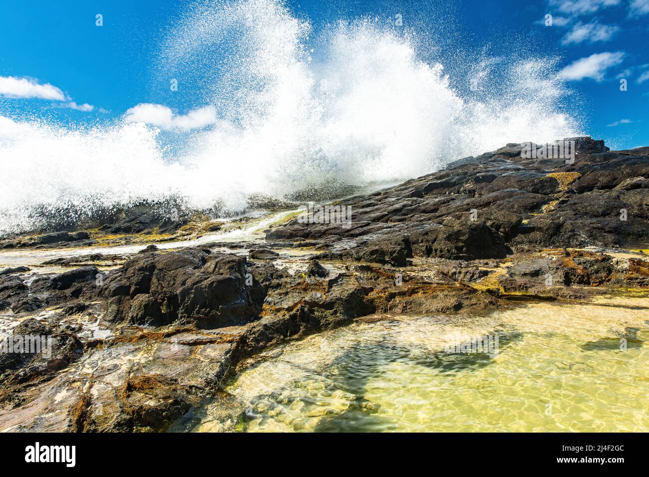 Champagne Pools on Fraser Island, Queensland, Australia Stock Photo - Alamy