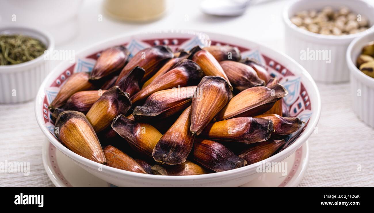 pinhão seed, typical Brazilian seed, served cooked. Food rich in ...