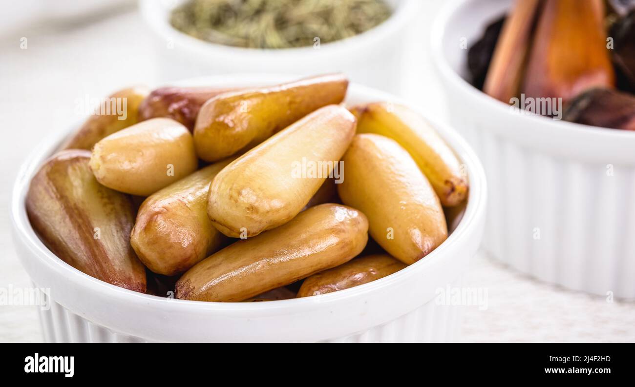 pinhão seeds, typical food of brazil, araucaria seed consumed in winter ...