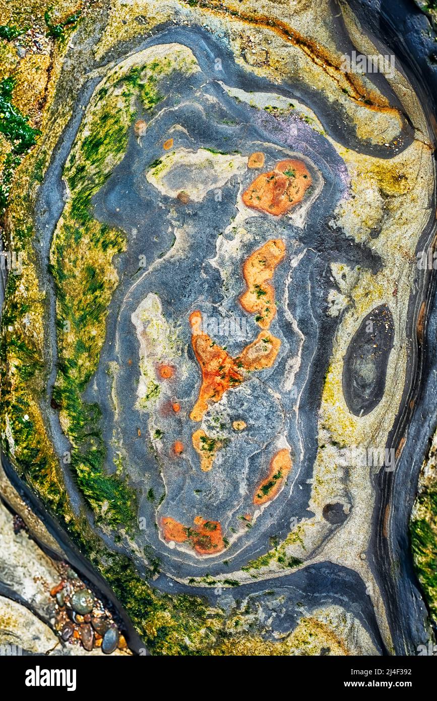 Tide pool rocks hi-res stock photography and images - Alamy