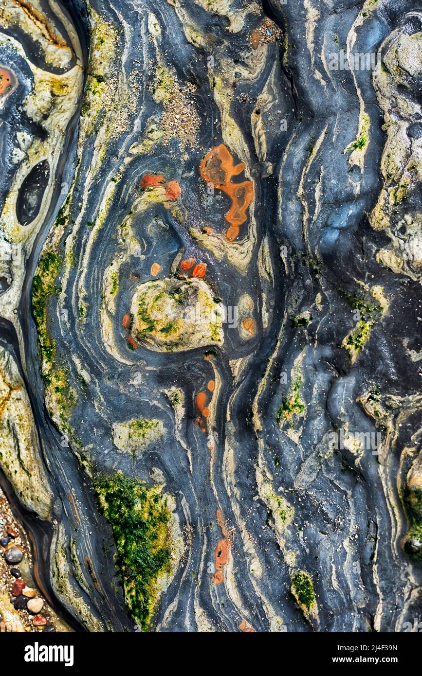 Tide pool rocks hi-res stock photography and images - Alamy