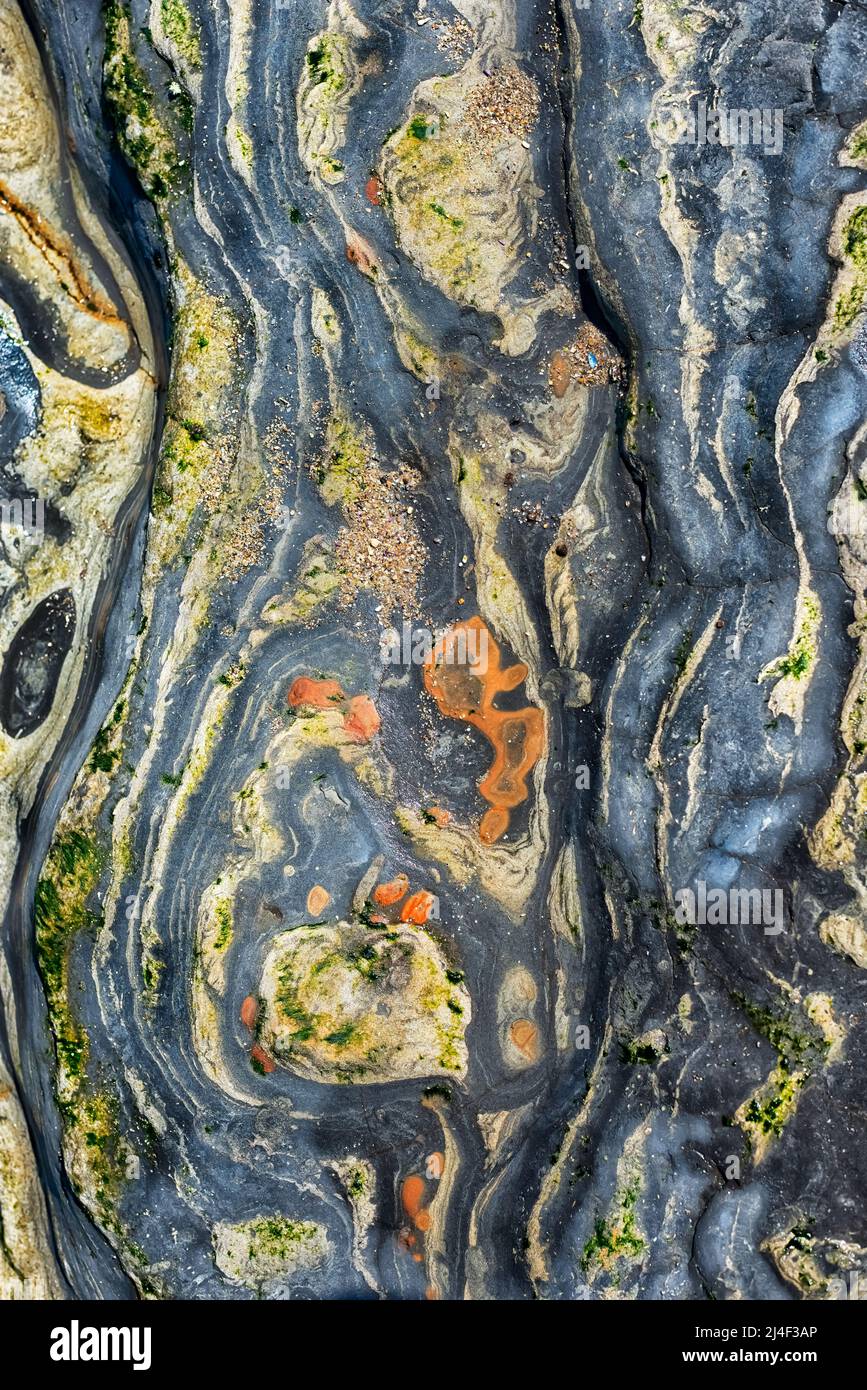 Imaginative patterns hi-res stock photography and images - Alamy