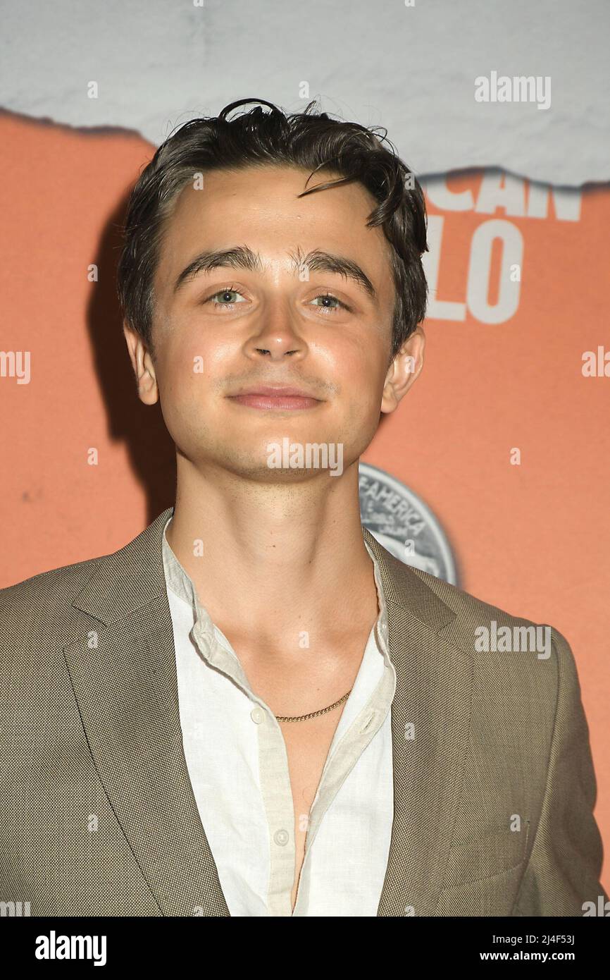 Ben Ahlers attends the Broadway Opening of "American Buffalo" on April ...