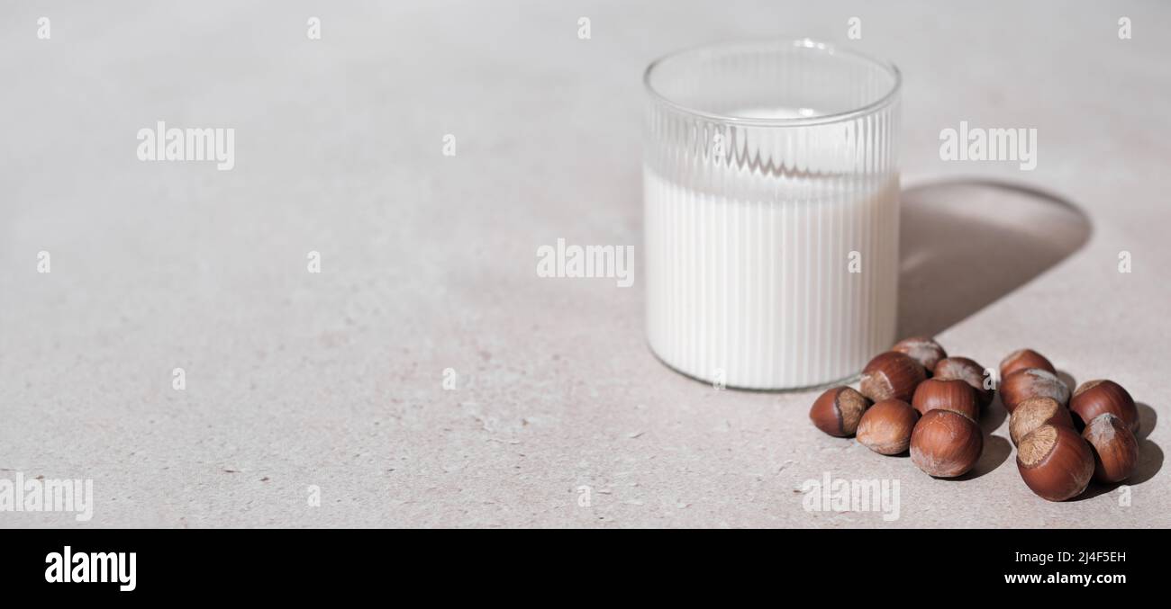 Hazelnut milk in a glass. Vegan healthy milk. Dietary food. Dairy-free ...