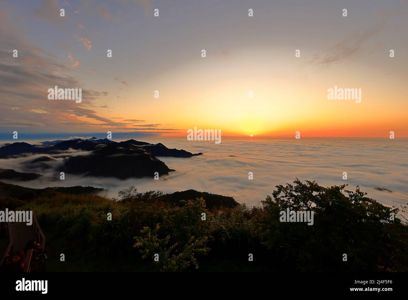 Sunset of Eryanping Trail Observation Deck, in Alishan National Forest ...