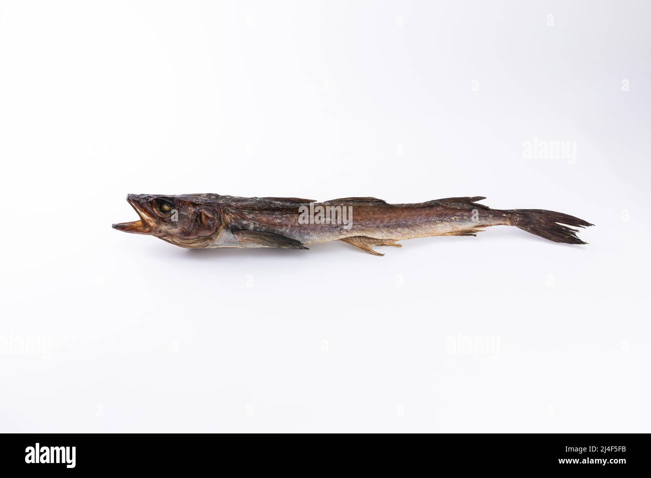 1 dried pollack on a white background Stock Photo - Alamy