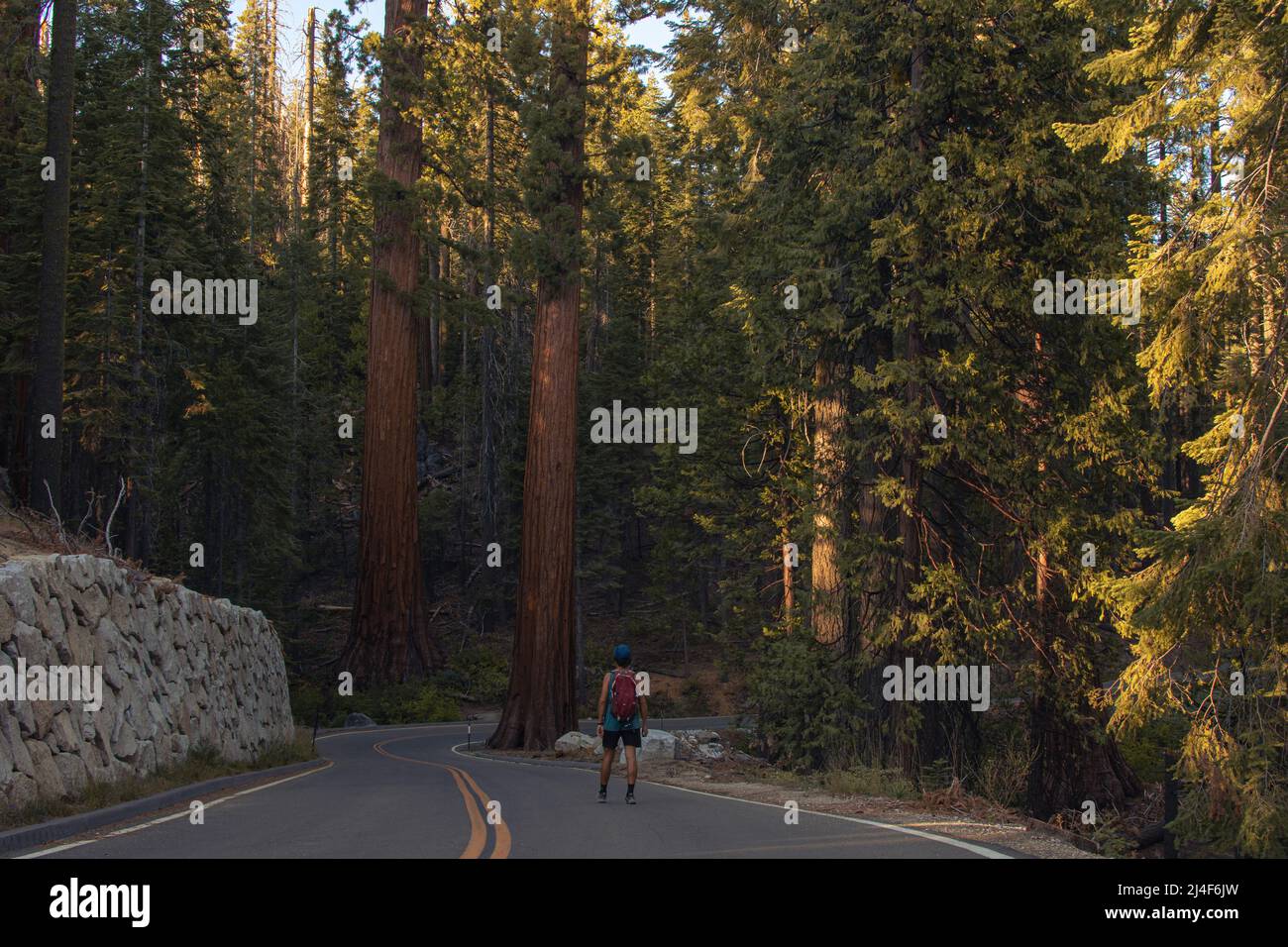 Autumnal landscape from Yosemite National Park, California, United ...