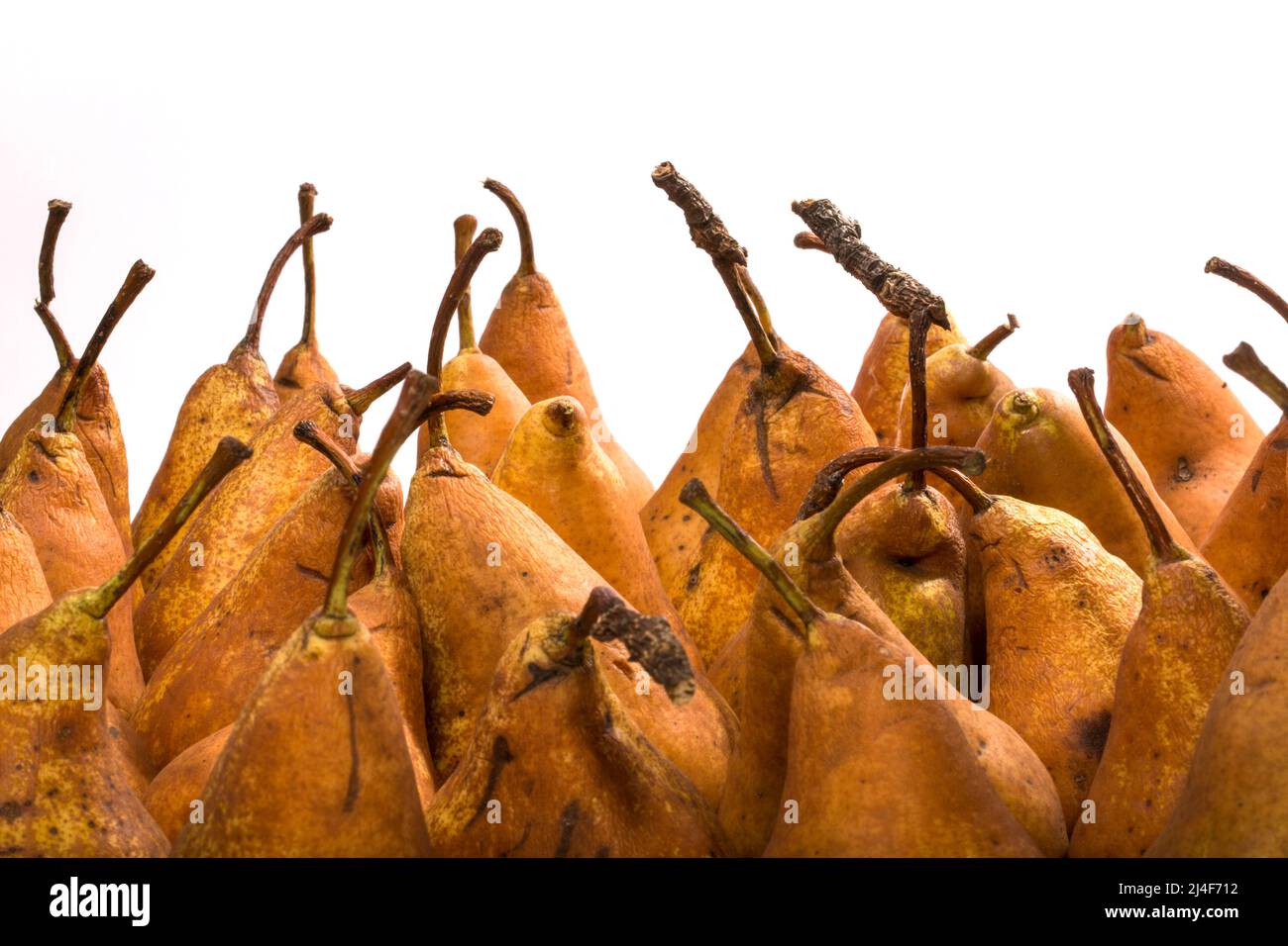 Bosc Pears varieties on a white background Stock Photo - Alamy