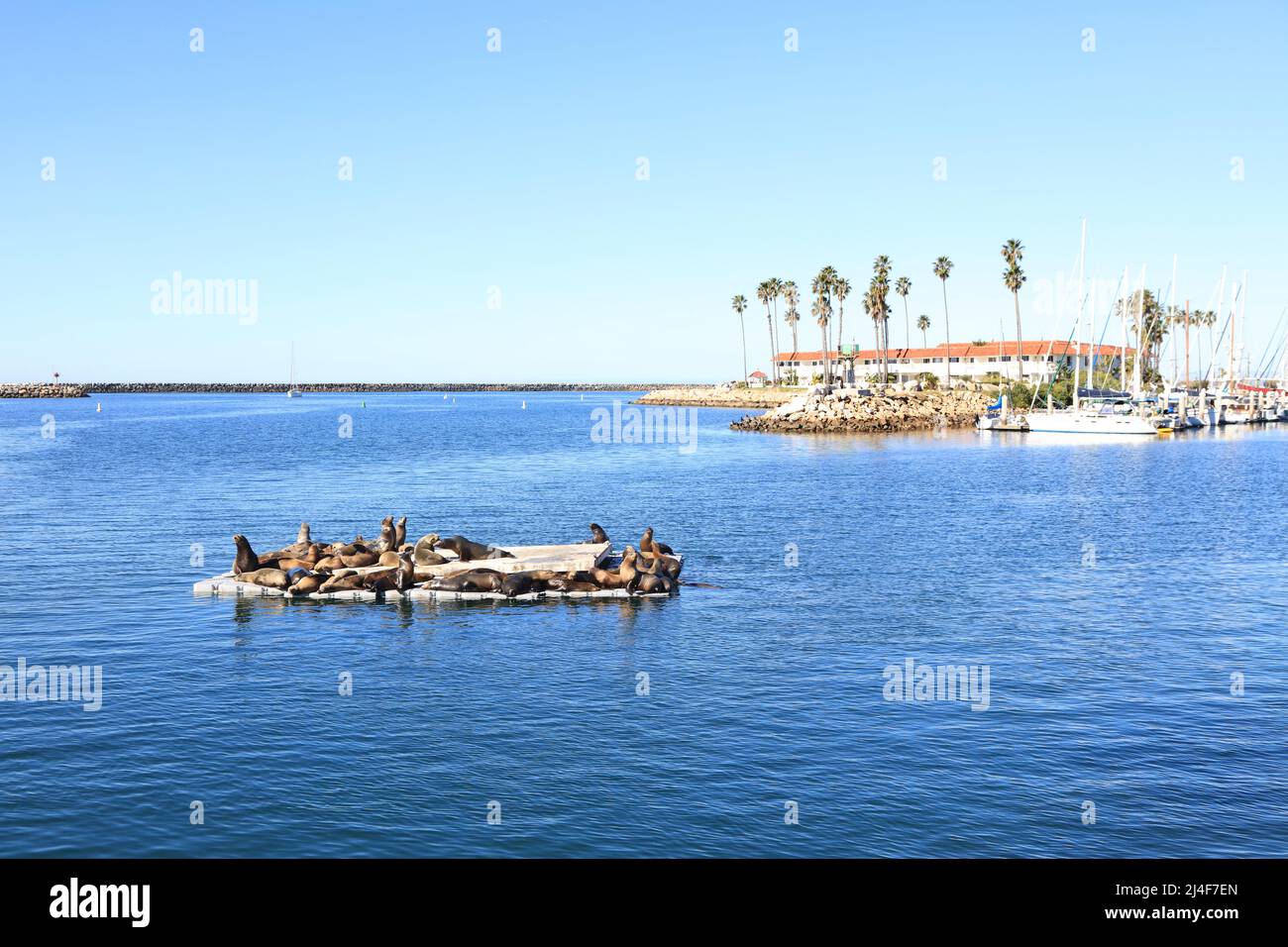 Oceanside harbor and beach scenes Stock Photo - Alamy