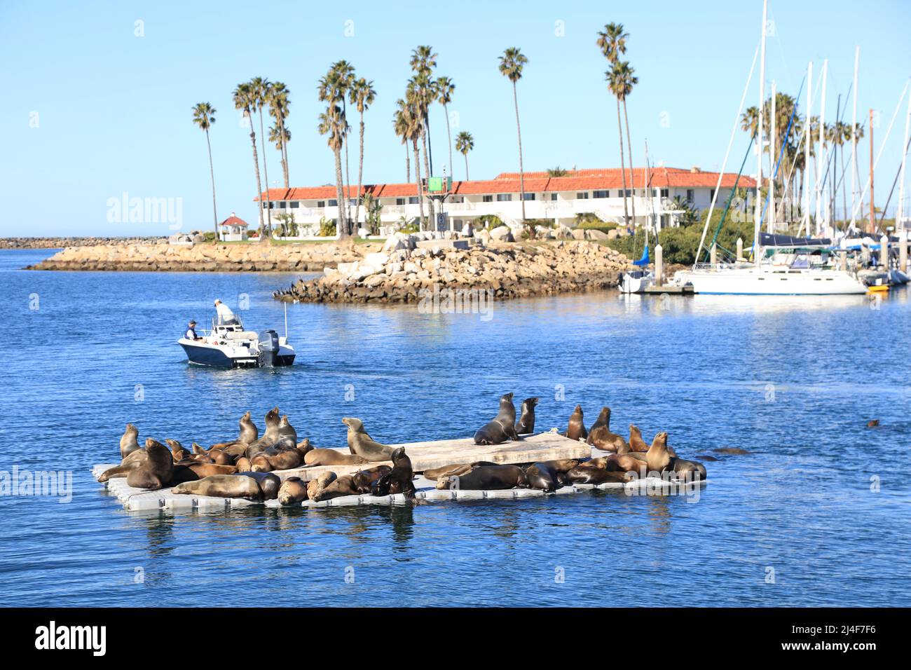 Oceanside harbor and beach scenes Stock Photo - Alamy