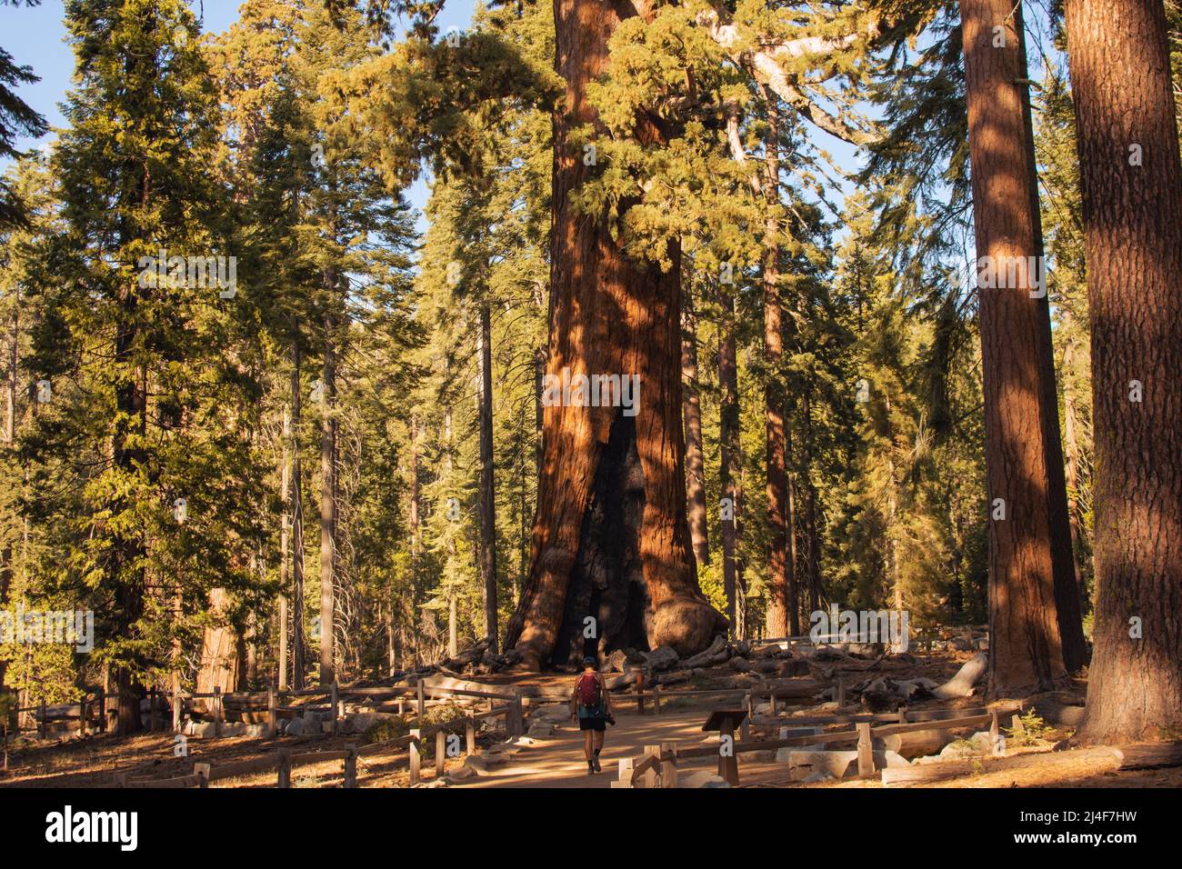 Autumnal landscape from Yosemite National Park, California, United ...