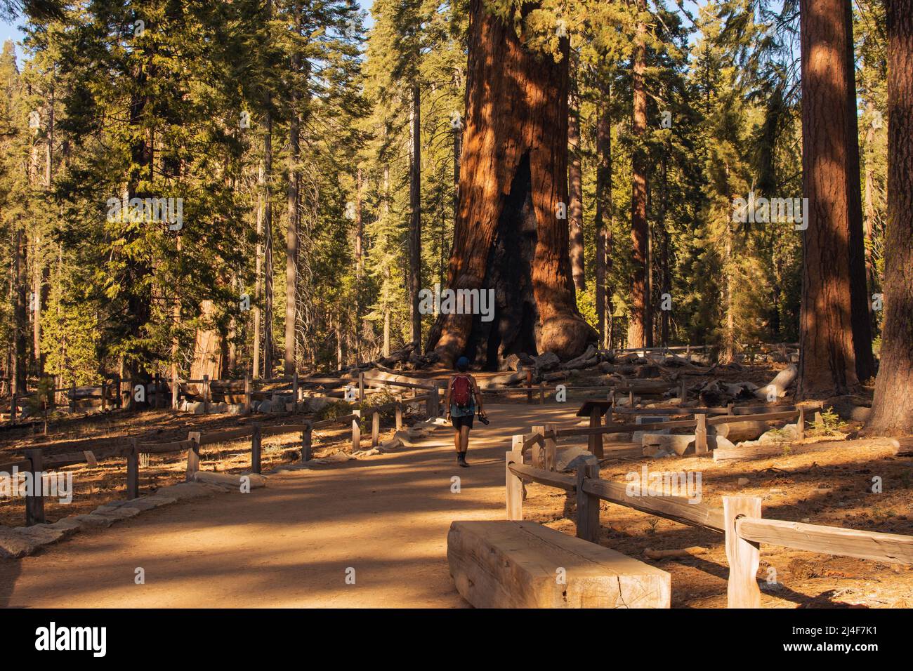 Autumnal landscape from Yosemite National Park, California, United ...