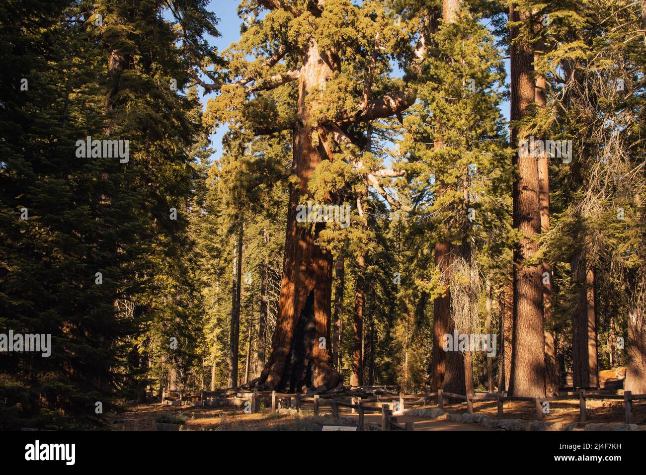 Autumnal landscape from Yosemite National Park, California, United ...