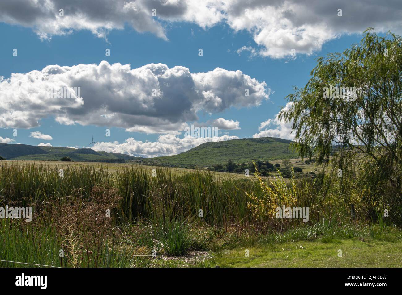 Landscape of the hills in Lavalleja, Uruguay Stock Photo - Alamy