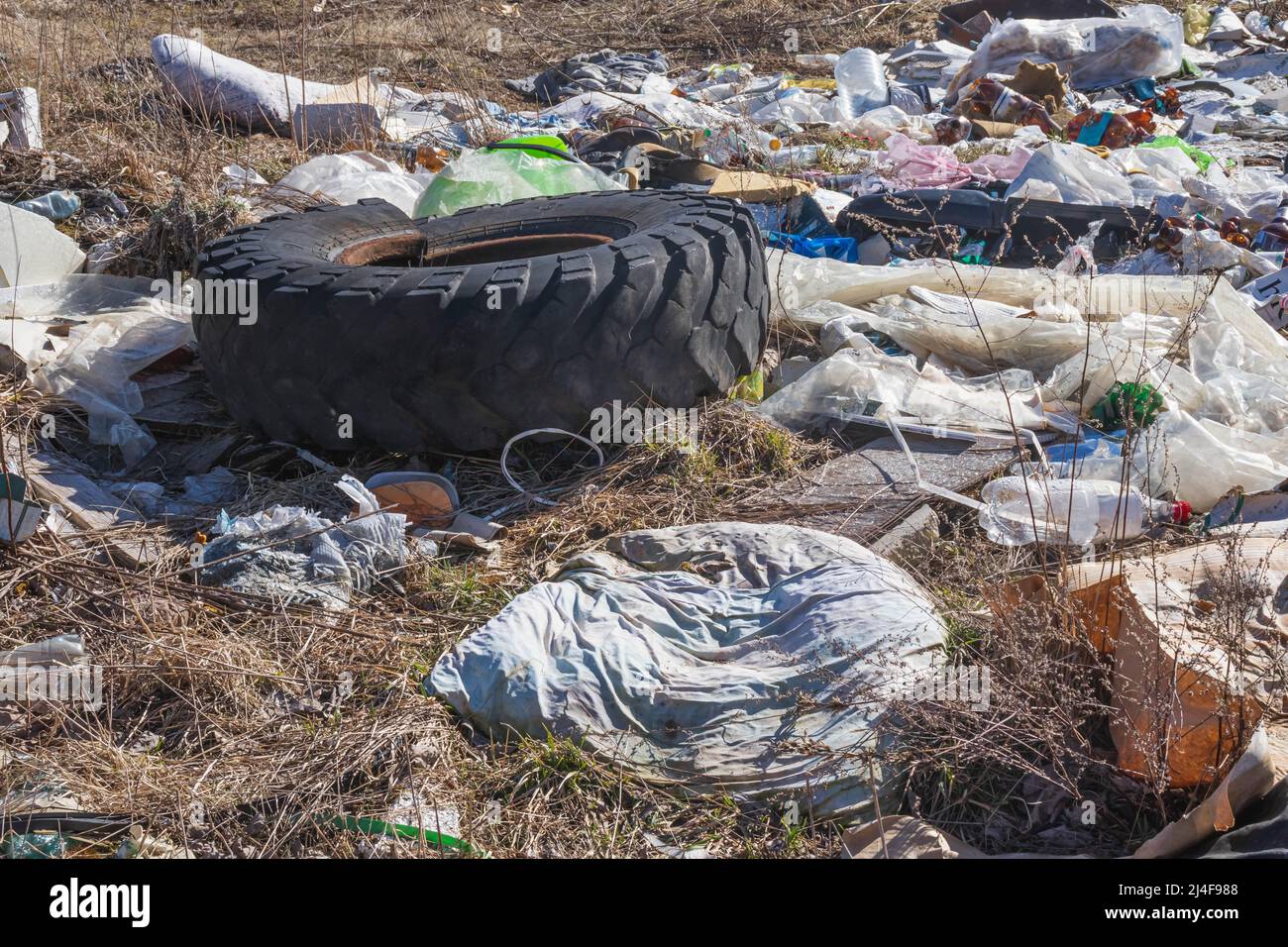 An improvised garbage dump at the edge of the forest Stock Photo - Alamy