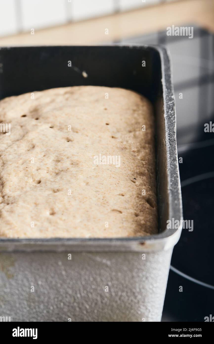 The process of making rye bread. The dough on the rye bread is laid out ...