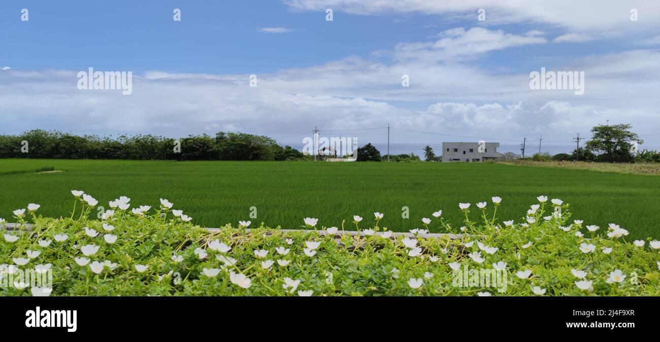 The Dulan Sea Viewing Platform, Taitung, enjoy the beautiful coastline ...