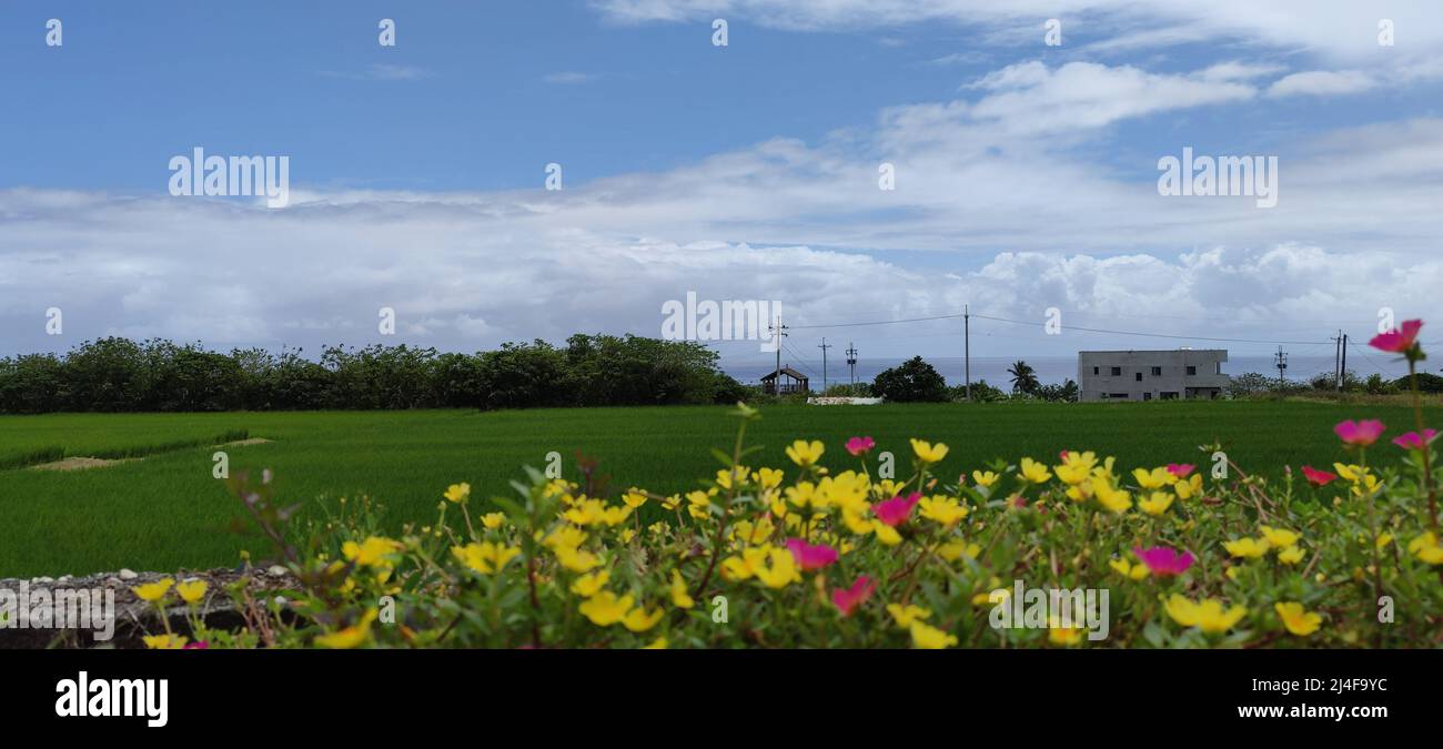 The Dulan Sea Viewing Platform, Taitung, enjoy the beautiful coastline ...